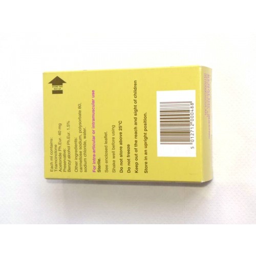 Kenalog Intra-articular / Intramuscular 40mg/1ml for Injection (x5)